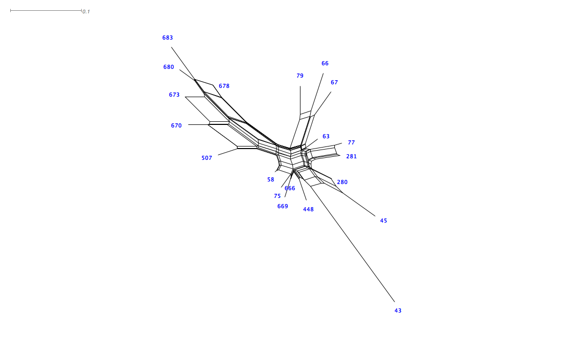 Robust MALDI mass spectra data pre-processing pipeline with MALDIrppa ...
